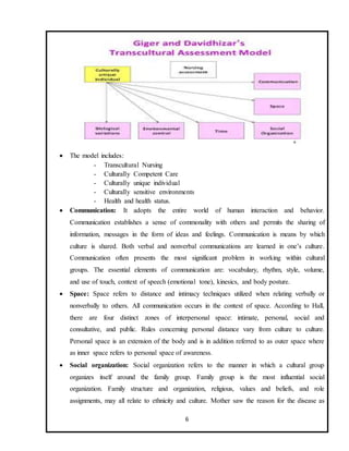 Transcultural nursing | DOCX