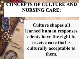 transcultural nursing.ppt