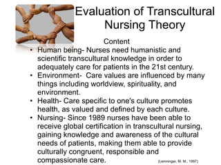 transcultural_nursing_nur324.ppt