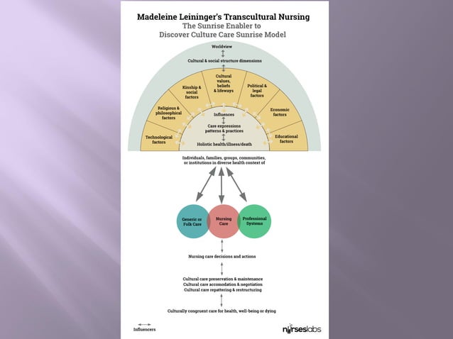 Transcultural theory in nursing | PPT | Eldercare | Family and ...