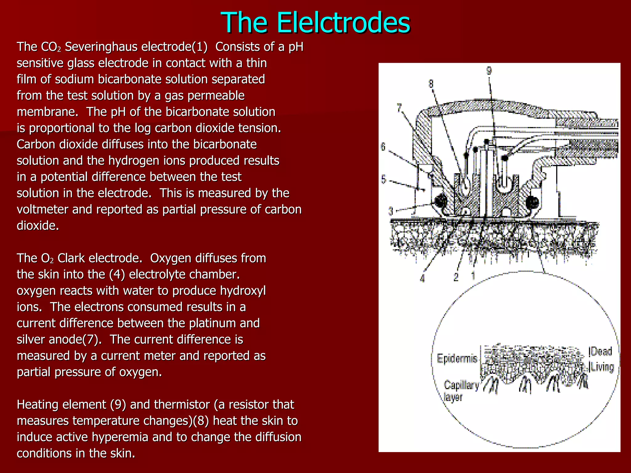 Transcutanous Blood Gas Monitoring | PPT