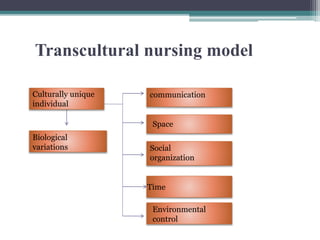 Transcutural nursing ppt | PPTX