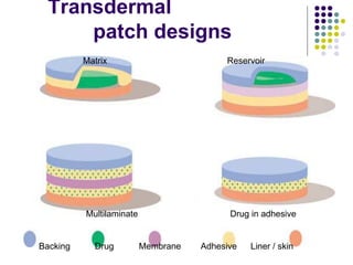 Transdermal drug delivery system | PPT