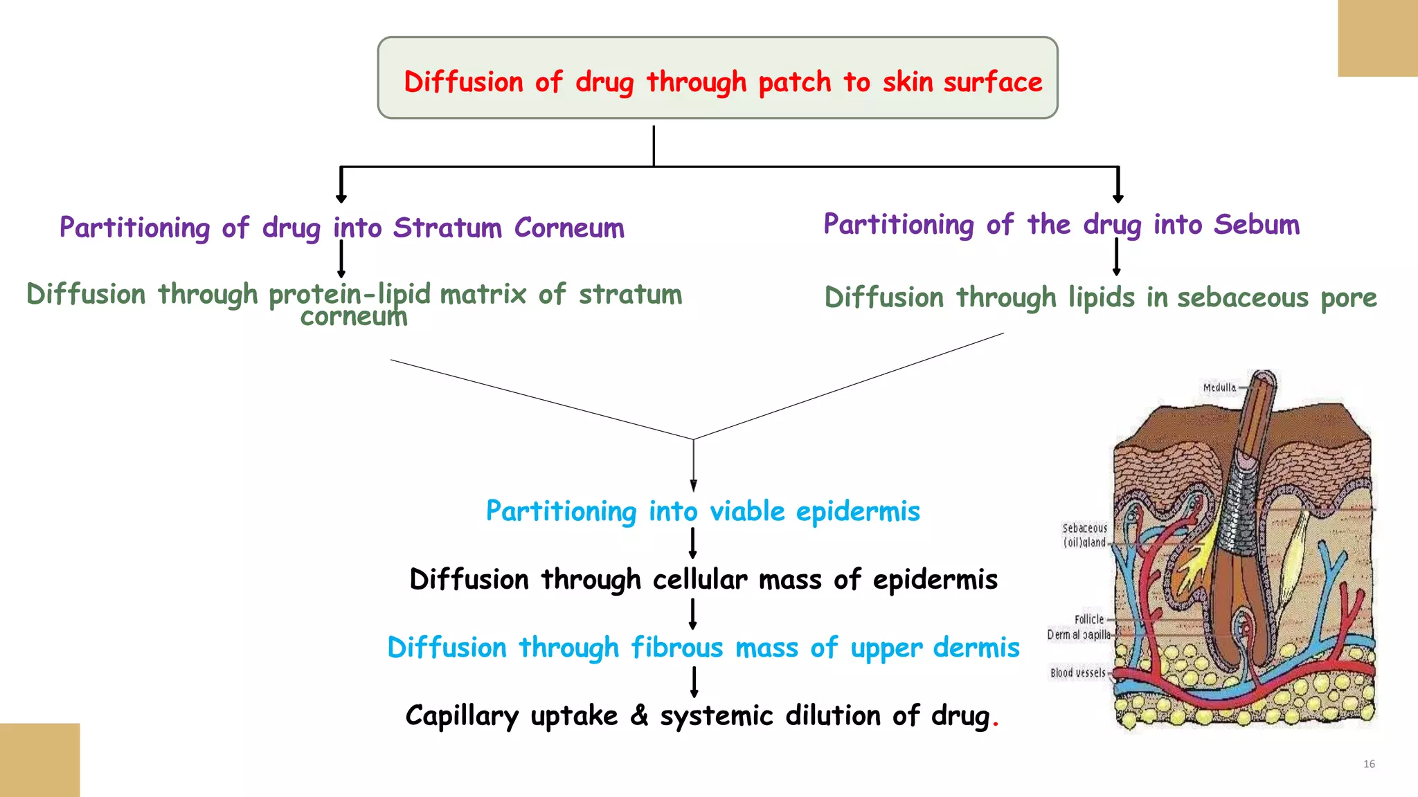Transdermal Drug Delivery System SG.pptx