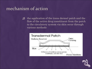 Transdermal Delivery | PPT