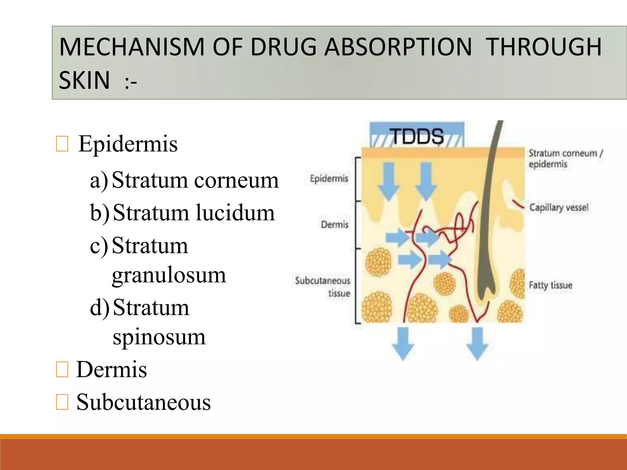 Transdermal drug delivery system | PPT