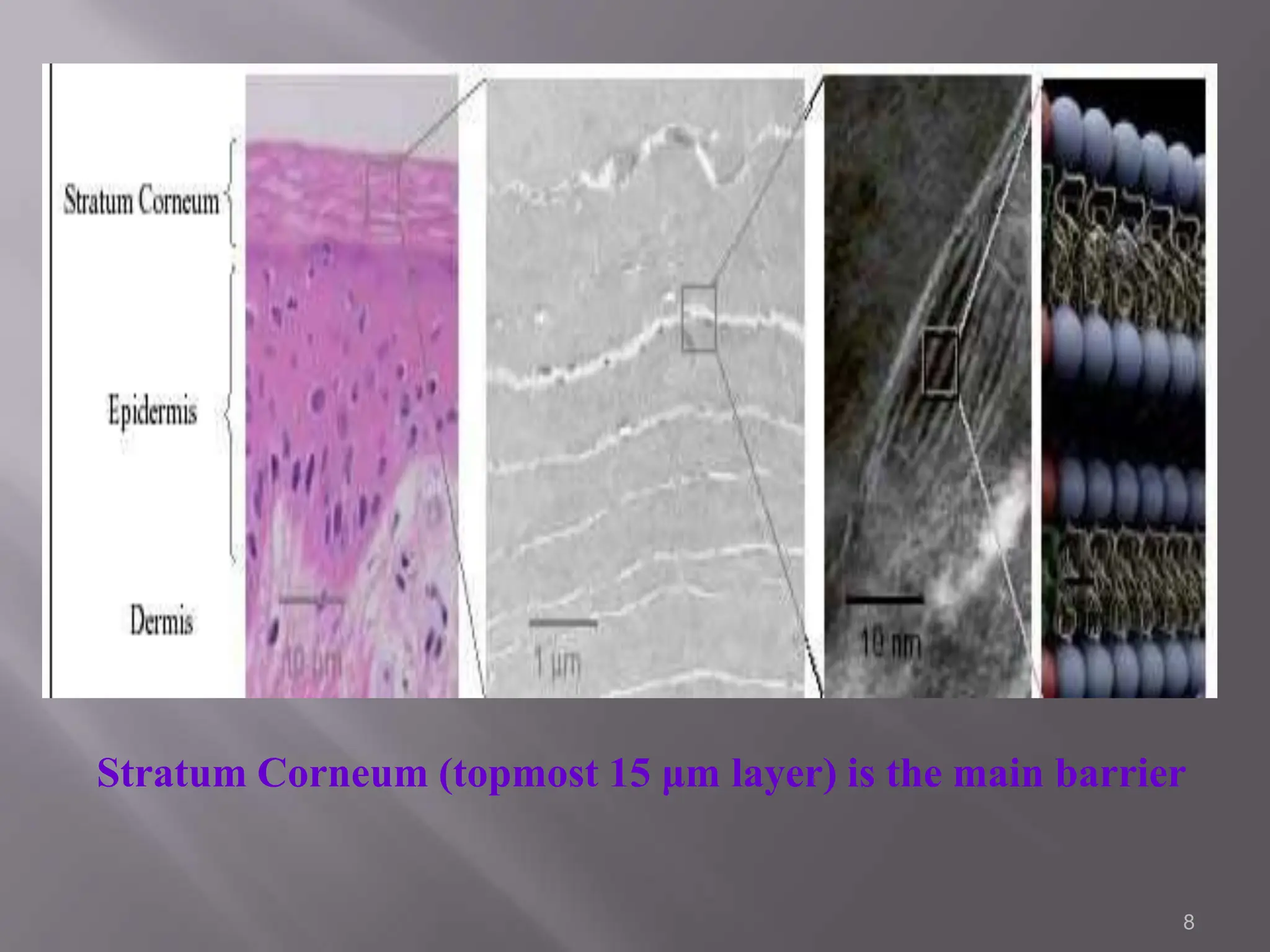 TRANS_DERMAL_DRUG_DELIVERY._SYSTEM Bpptx | PPT