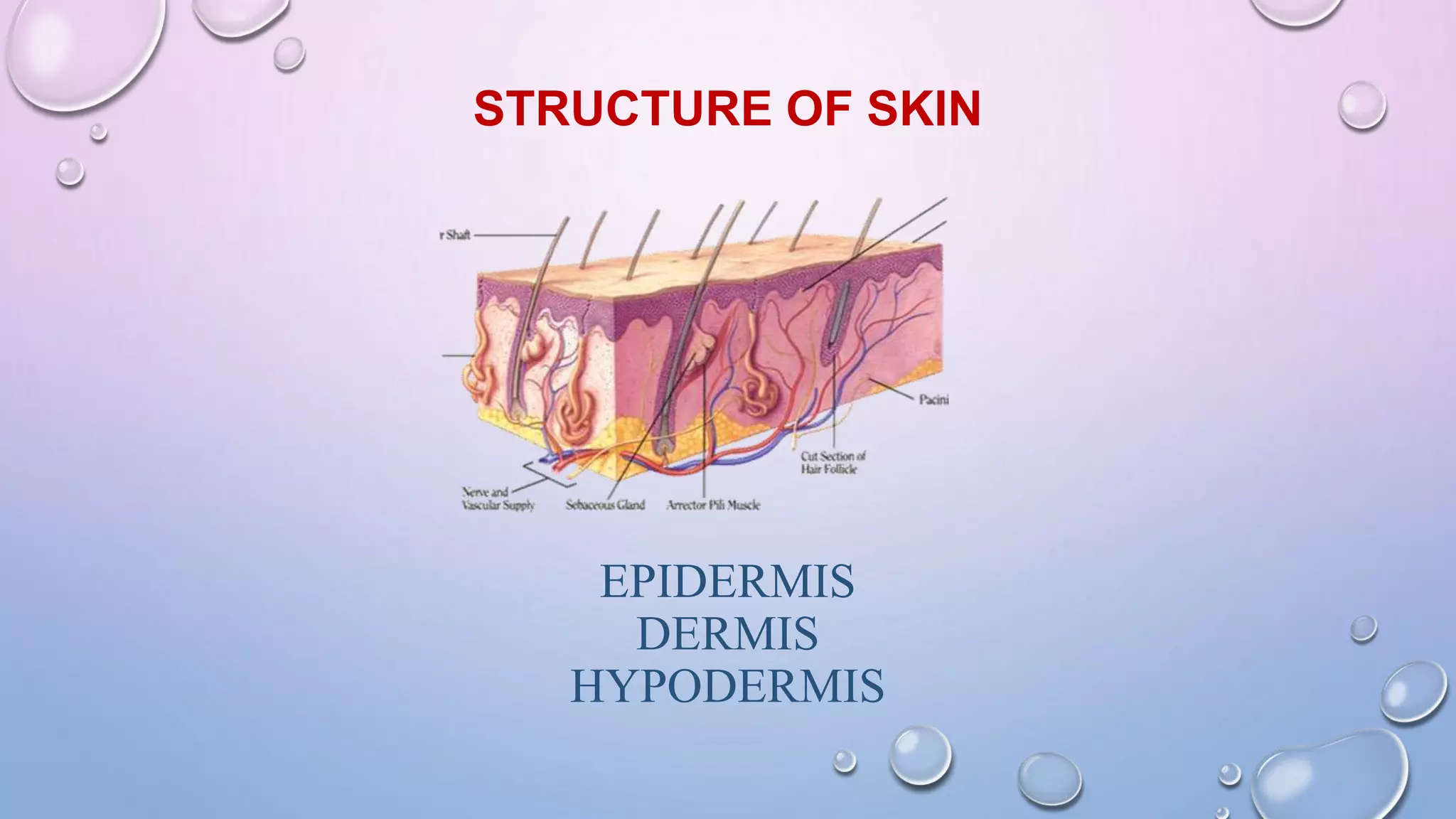 Transdermal drug delivery system | PPTX