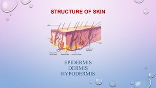 Transdermal drug delivery system | PPTX