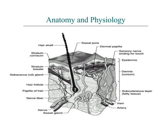 Transdermal drug delivery system | PPT