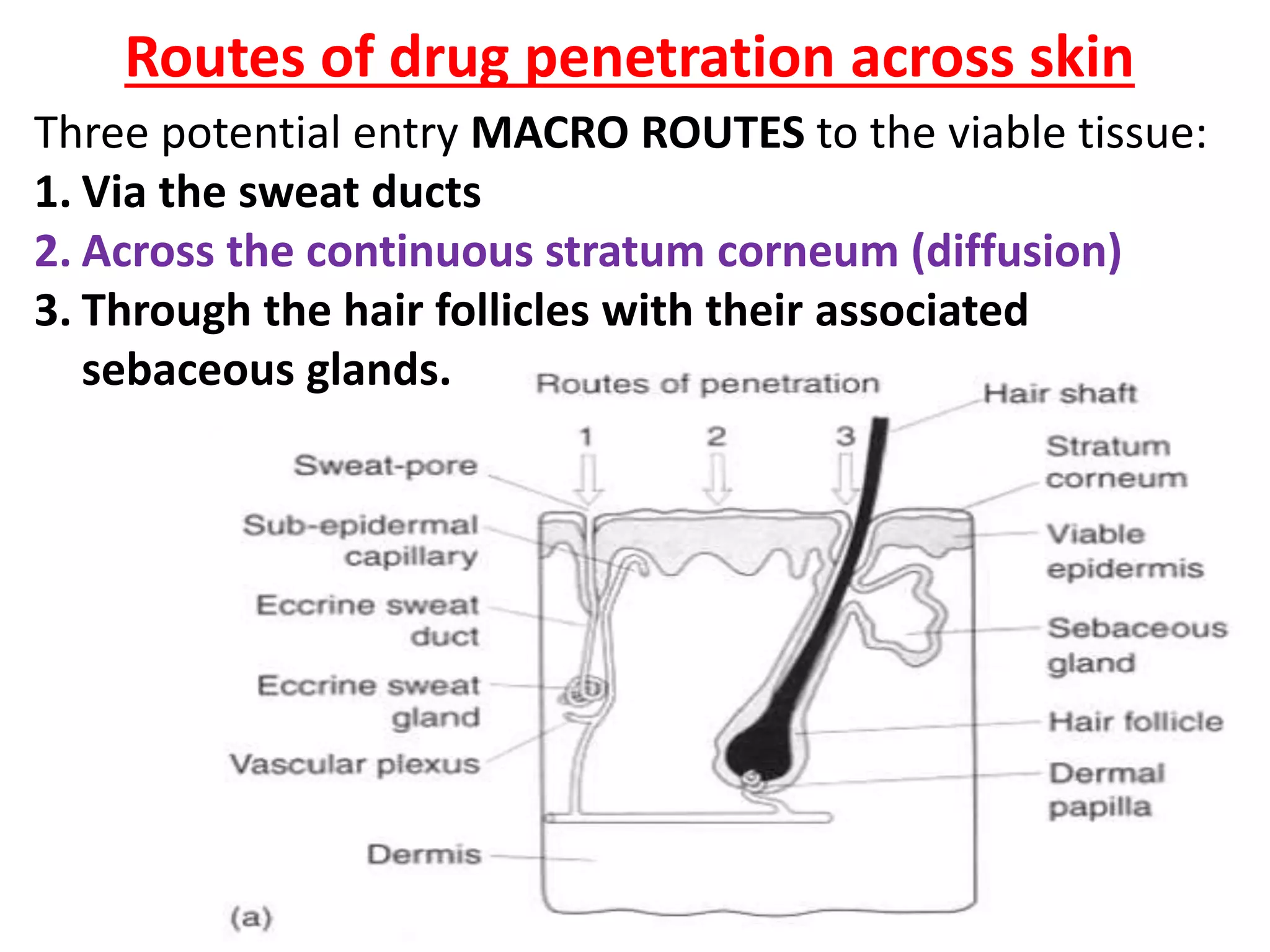 Transdermal drug delivery system | PPTX