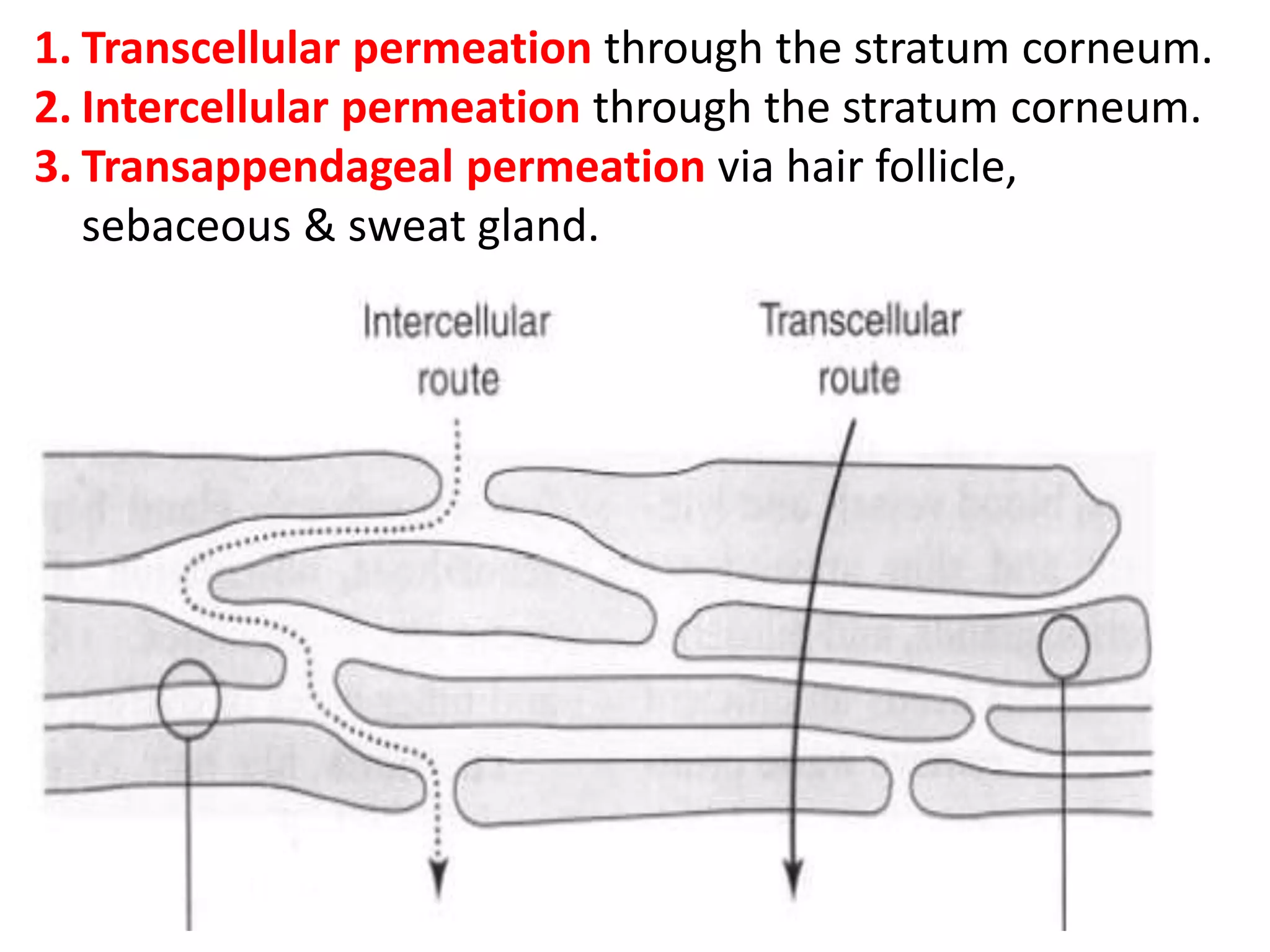Transdermal drug delivery system | PPTX