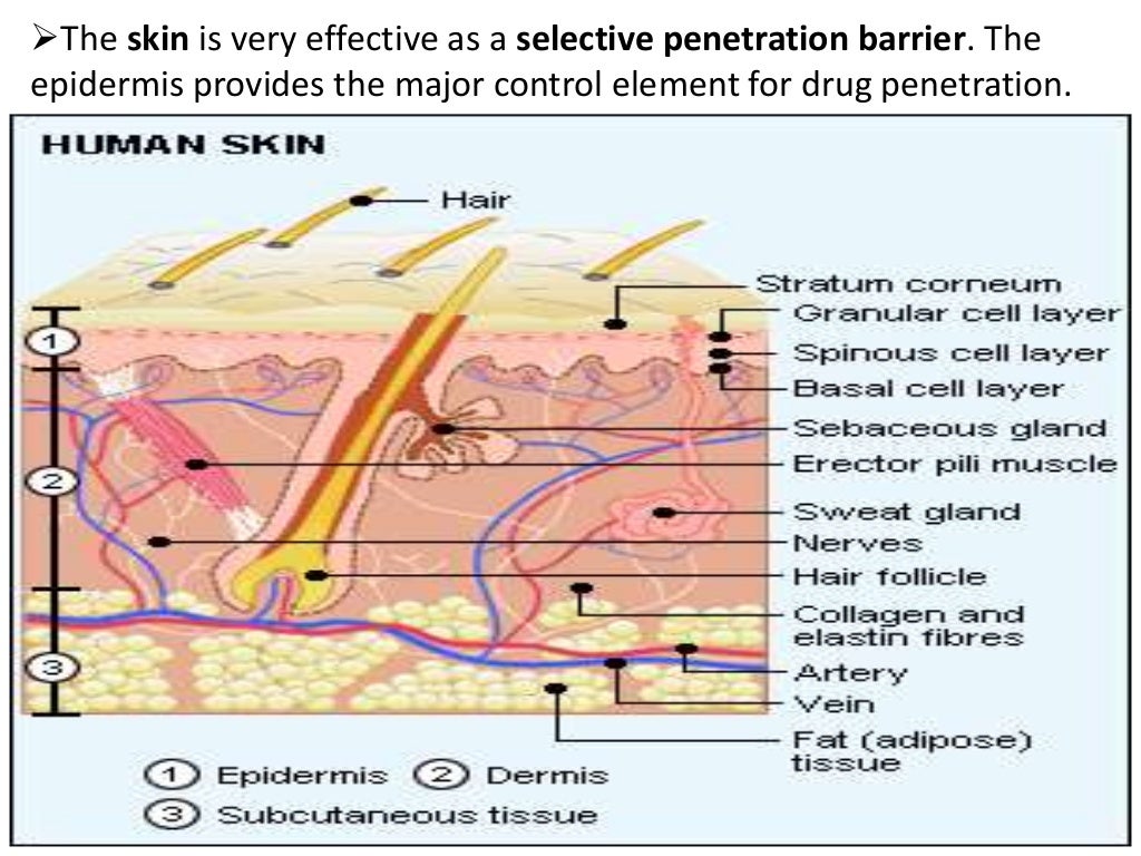 Transdermal drug delivery system
