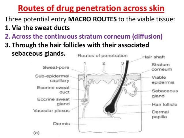 Transdermal drug delivery system