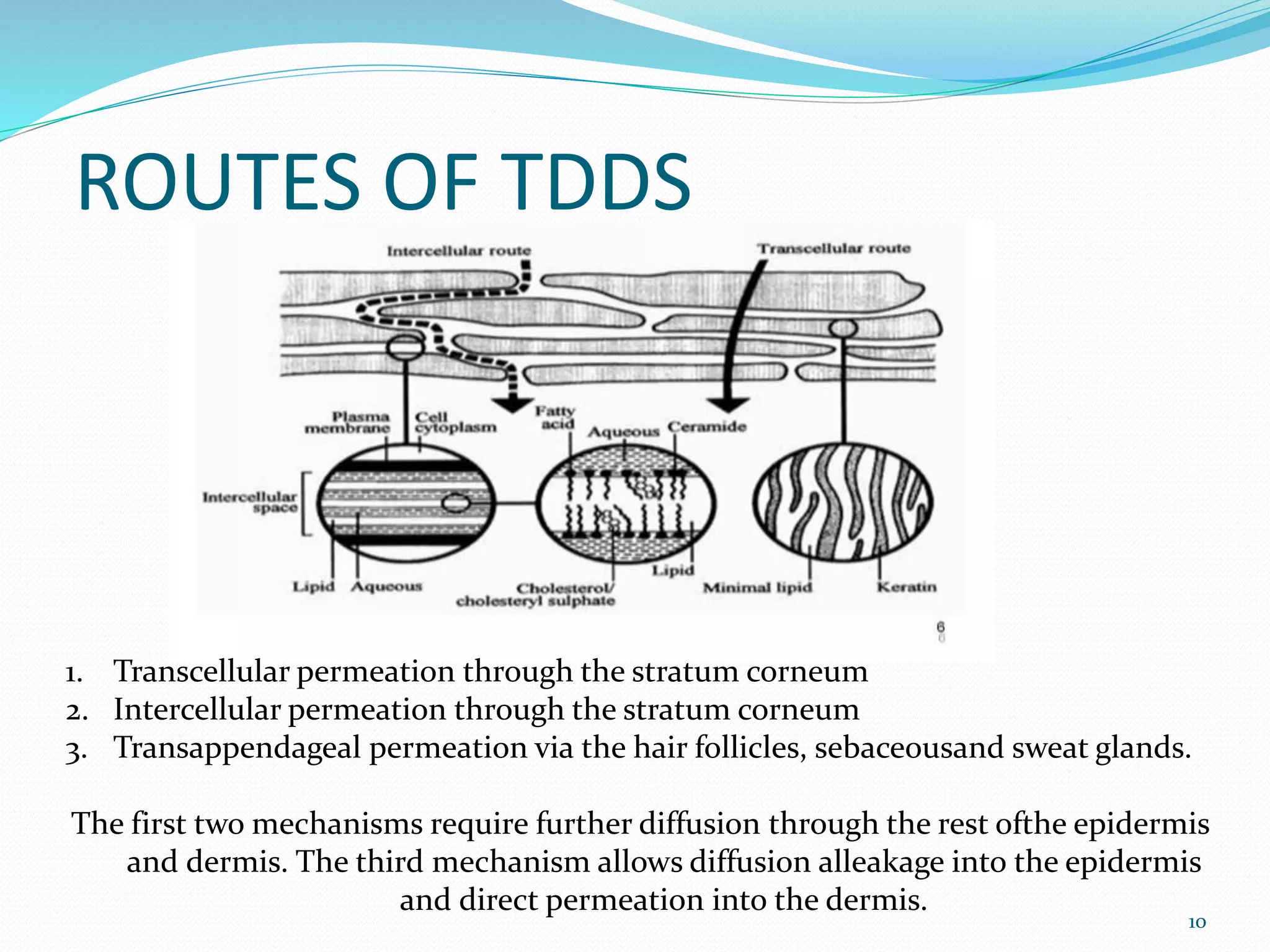 Transdermal drug delivery system | PPTX