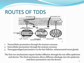 Transdermal drug delivery system | PPTX | Skin and Dermatology ...