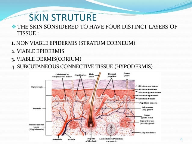 Transdermal drug delivery system