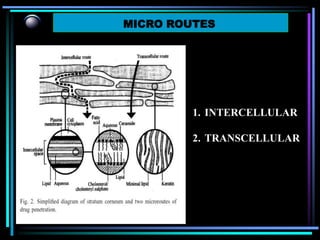 Transdermal drug delivery system | PPT