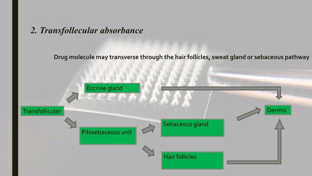 Transdermal drug delivery system | PPT
