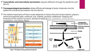 TRANSDERMAL DRUG DELIVERY SYSTEM Presentation | PPTX