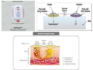 Transdermal drug delivery system | PPT