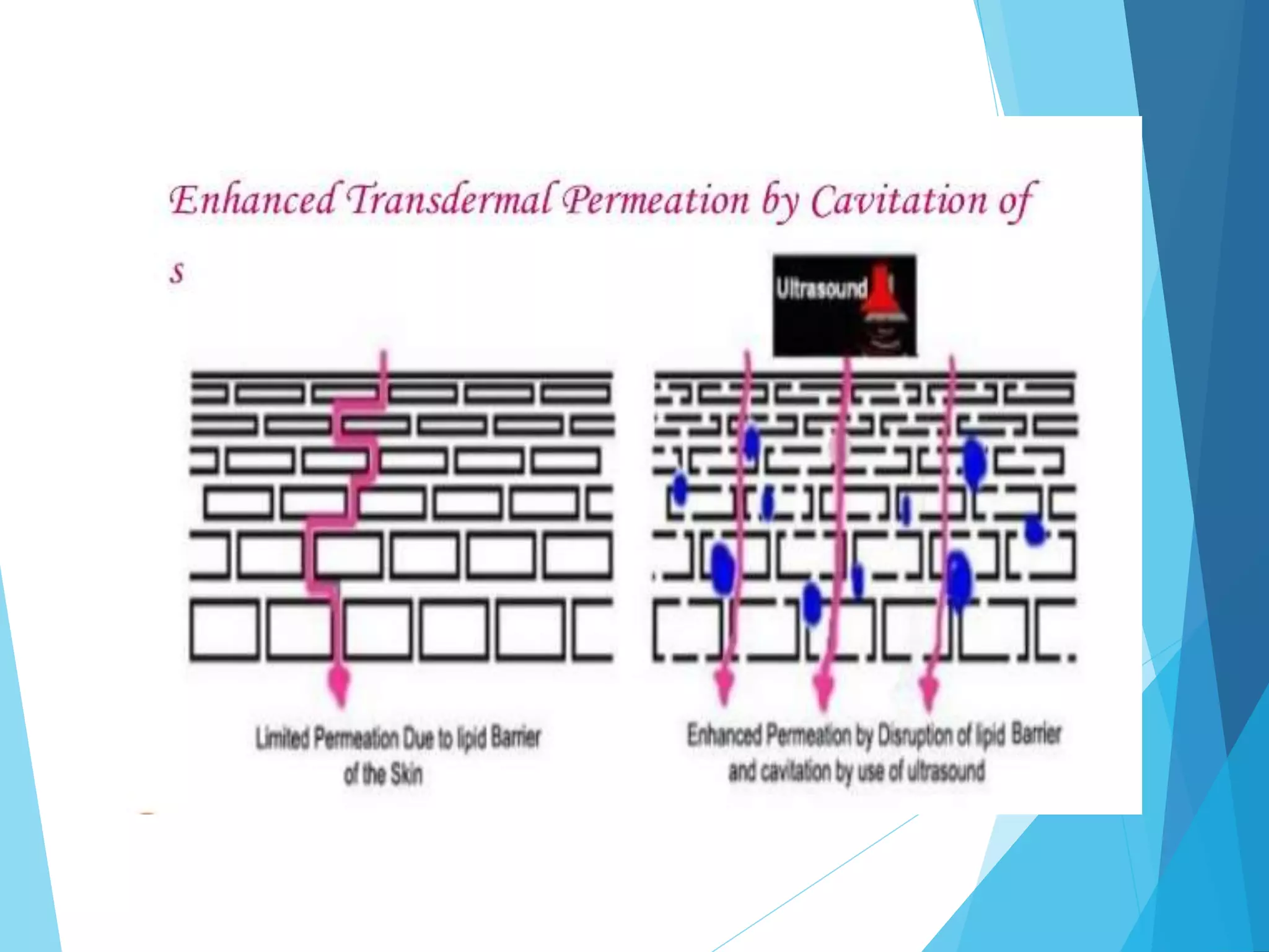 Transdermal Drug Delivery System | PPT