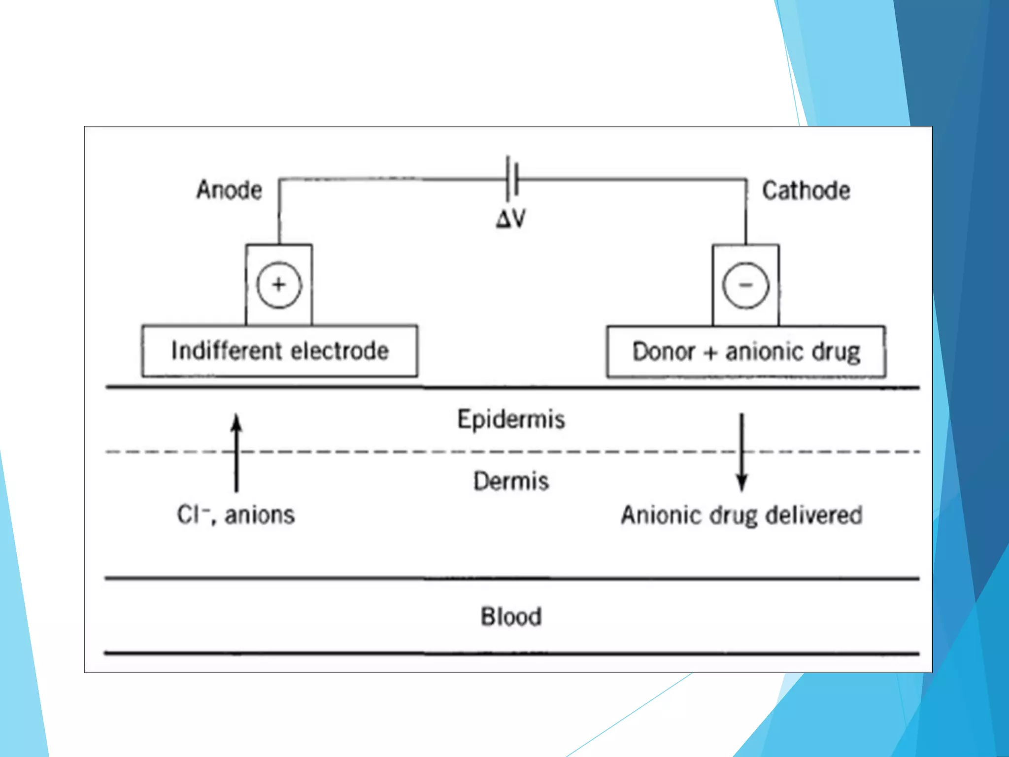 Transdermal Drug Delivery System | PPTX