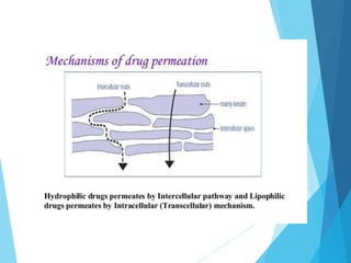 Transdermal Drug Delivery System | PPT