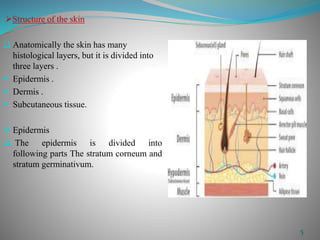 Transdermal Drug Delivery System ppt | PPTX