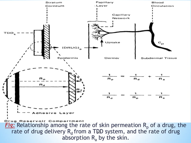 Transdermal drug delivery systems | PPTX