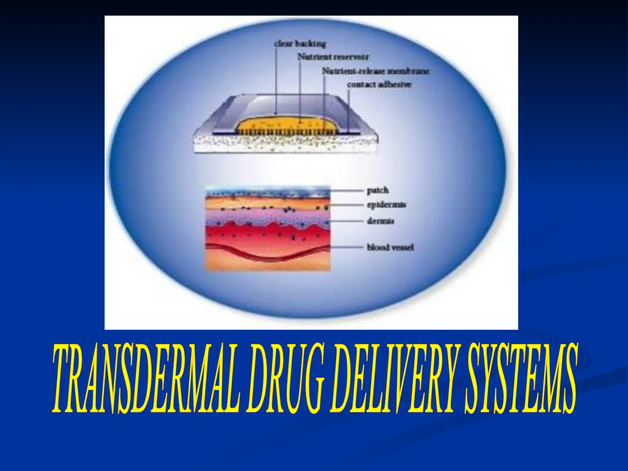 Transdermal Drug Delivery Systems.ppt.pdf