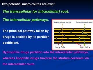 Transdermal Drug Delivery Systems.ppt.pdf