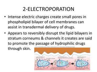 Transdermal route | PPTX