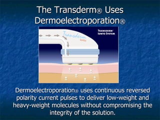 Transderm Overview Saratoga Aesthetics | PPT