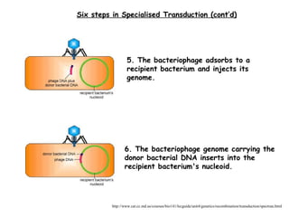 Transduction | PPT