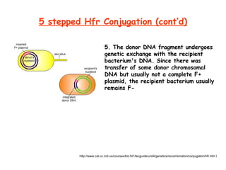Transduction | PPT