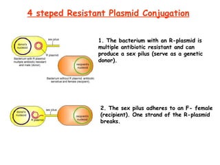 Transduction | PPT