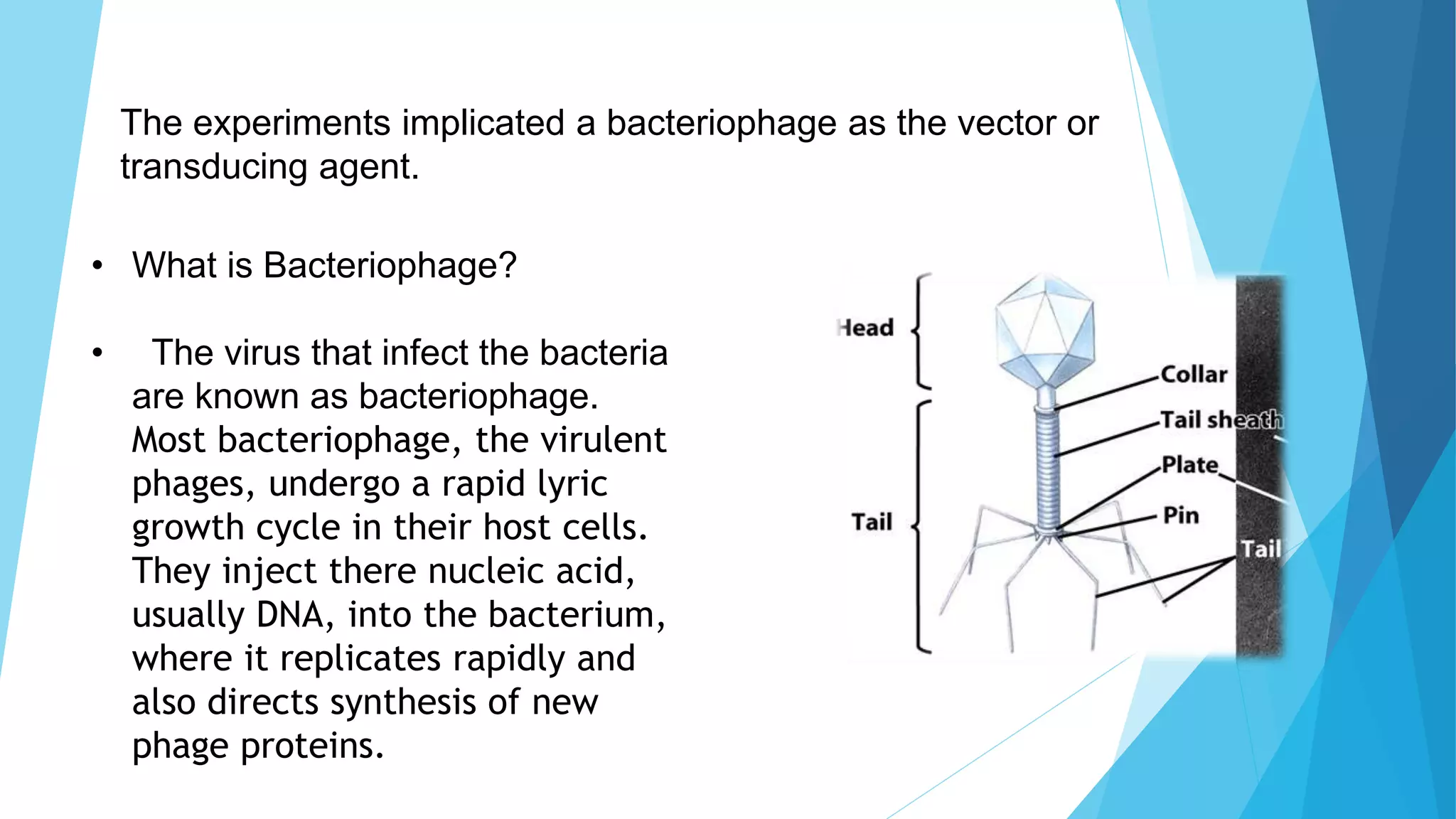 Bacterial Transduction (microbiology) | PPTX