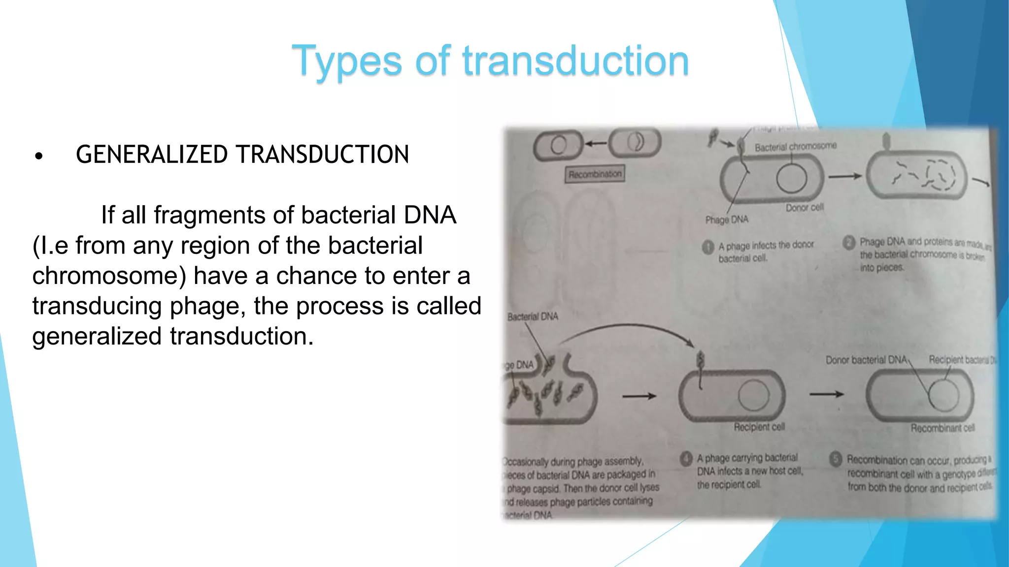 Bacterial Transduction (microbiology) | PPTX