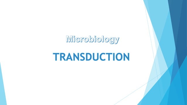 Bacterial Transduction (microbiology) | PPTX | Genetics | Science
