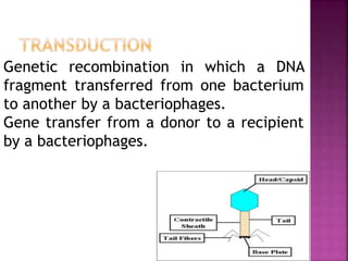 Transduction | PPTX
