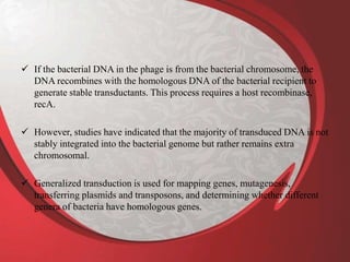 Transduction | PPTX