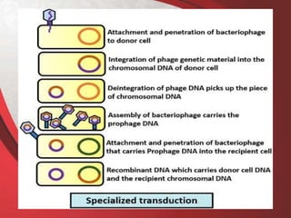 Transduction | PPTX