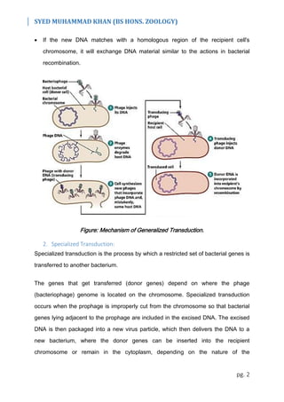 Bacterial Transduction Diagram