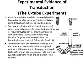 Principles of genetic recombination (Transduction) | PPTX