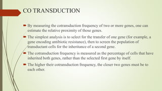 Transduction | PPTX