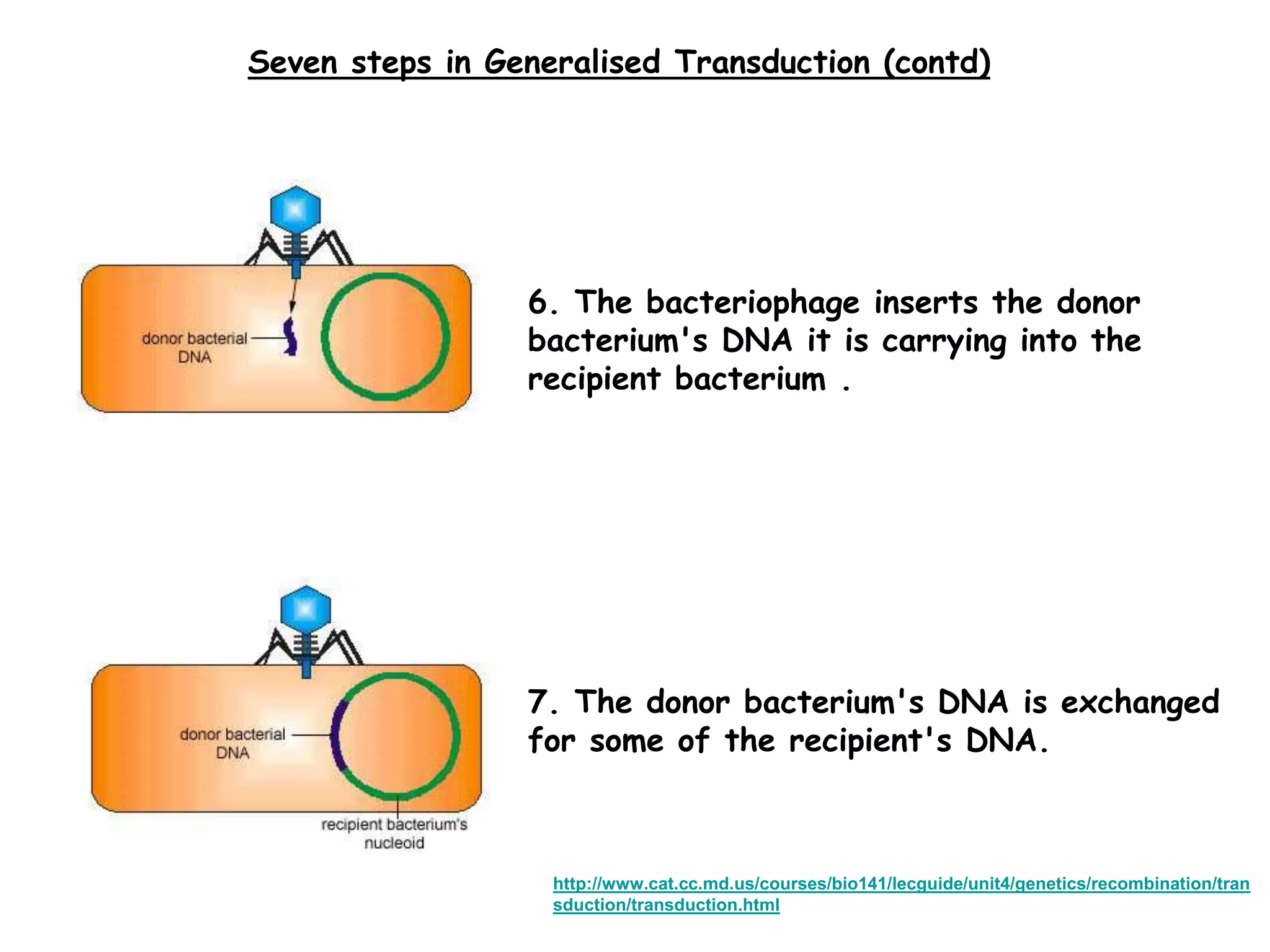 Transduction.pptx