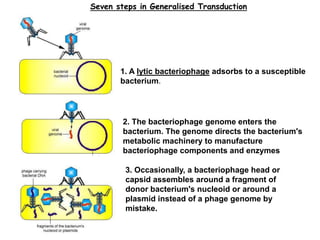 Transduction.pptx