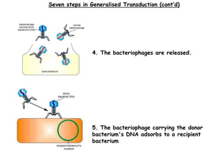 Transduction.pptx