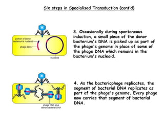 Transduction.pptx